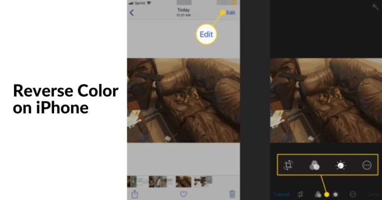 How to Reverse the Color of a Picture on iPhone: A Step-by-Step Guide ...