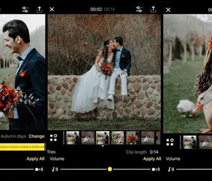 Wedding Photo Editor Apps: Elevating Wedding Memories - Retouching Labs