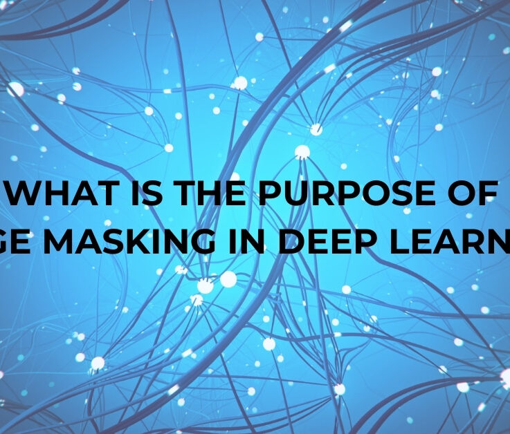 What is the Purpose of Image Masking in Deep Learning? - Retouching Labs