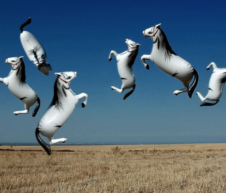 Funny Photo Manipulation - Retouching Labs