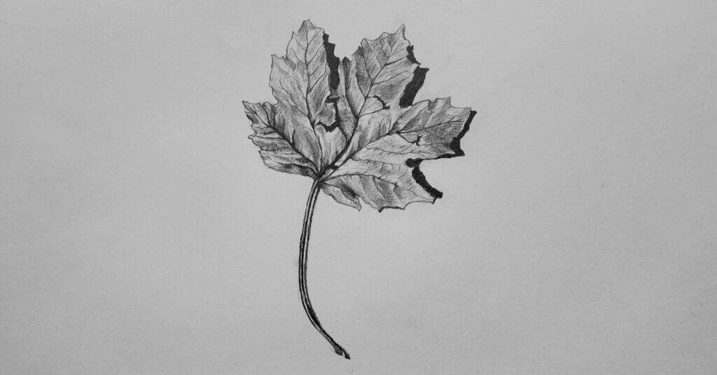 Image Shadow Drawing - Retouching Labs