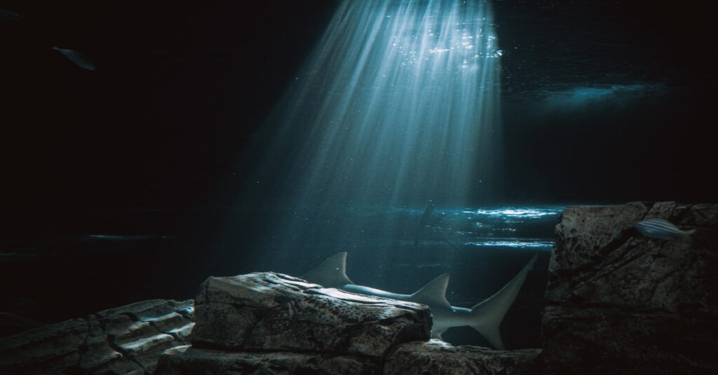 Underwater Photo Manipulation - Retouching Labs