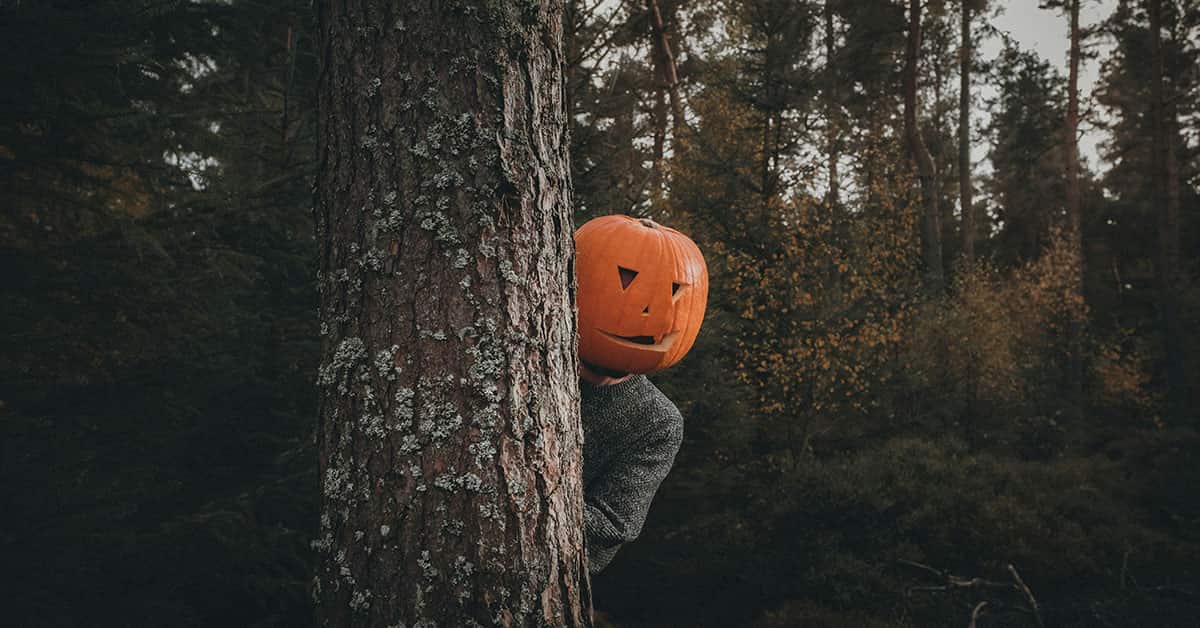 Pumpkin Head Photoshoot Ideas - Retouching Labs