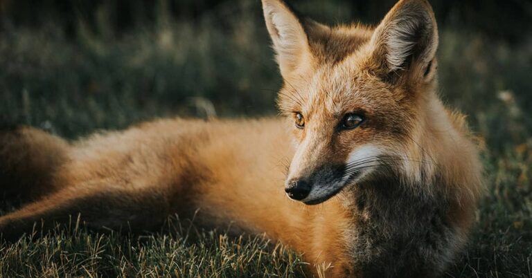 National Geographic Best Photos Without Landscape Retouching ...