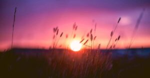 3 Essentials for Capturing Sun Flare - Retouching Labs